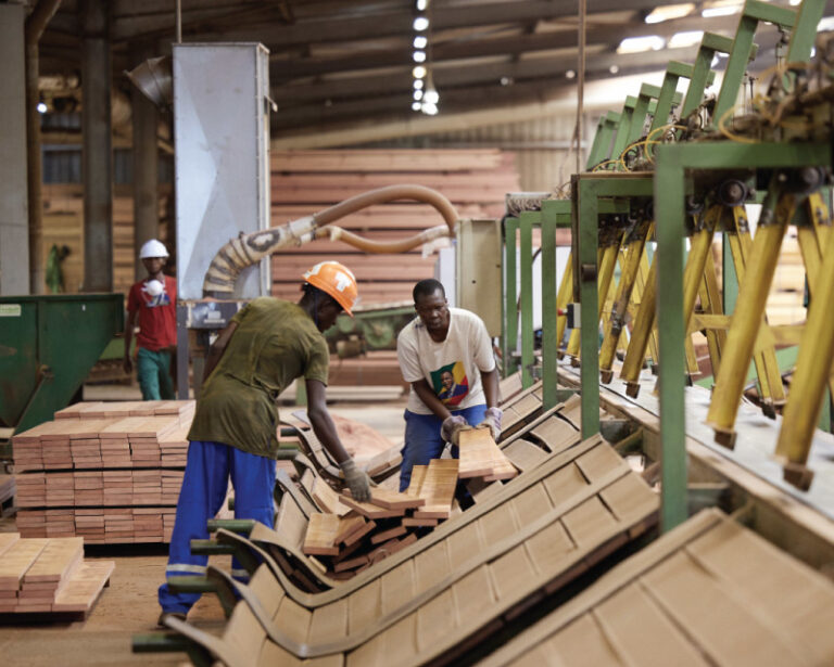 Wood Factory – Ghana – Harrots